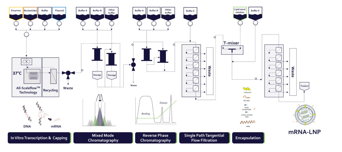 Technology – DILLICO – Unleash the full potential of mRNA